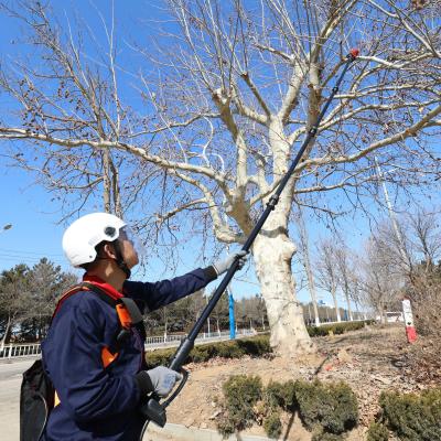 China Carbon Fiber Telescopic Pole Chainsaw 3m-7m Adjustable Length with Lithium Battery for Tree Pruning for sale