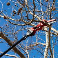 China 3m-7m Electric Telescopic Tree Pruner with Carbon Fiber Pole & Lithium Battery for High Branch Cutting for sale