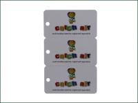China Customized Greeting Plastic Gift Cards Hole Punched Design Non - Contact Type for sale