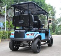 China Electric Carplay Utility Vehicle Golf Carts The Future of Golf Course Transportation for sale