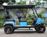 China Electric Carplay Utility Vehicle Golf Carts The Future of Golf Course Transportation for sale