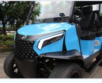 China Electric Carplay Utility Vehicle Golf Carts The Future of Golf Course Transportation for sale