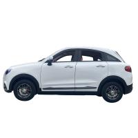 China Manual Copilot Seat Adjustment 2024 Energy 4-Wheel Mini Car for Low Speed Travel for sale
