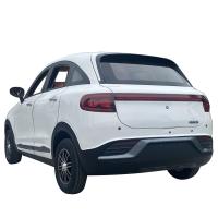 China Manual Copilot Seat Adjustment 2024 Energy 4-Wheel Mini Car for Low Speed Travel for sale