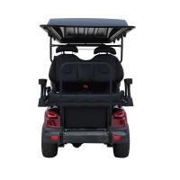 China Battery Maintenance-free 8V*150AH*6 Electric Golf Cart for Mobility and Utility for sale