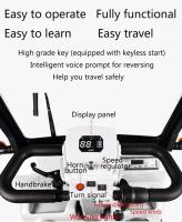 China 3-4 Seats Electric Brake Street Legal Golf Carts Scooter Buggy for Performance for sale
