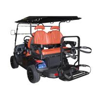 China Standing Postion of Tail Caddie Equipped Electric Golf Cart 72v7kw Ac System Mini Carts for sale