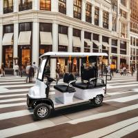 China Maximum Speed ≤30Km/h 2024 8-Seater Golf Cart Popular Four-Wheel Vehicle Rxv Usage for sale