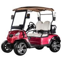 China Comfortable 2 Seat Electric Golf Cart Buggy with Front Disc and Rear Drum Brake System for sale
