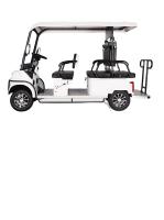 China Household Three-Seat 800W Tricycle with Smart Electronic and Adjustable Design for sale