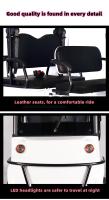 China Household Three-Seat 800W Tricycle with Smart Electronic and Adjustable Design for sale