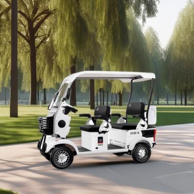 China Experience the Freedom of MINIBUSEV E900 The Speed Four-Wheeler for Elderly and Leisure for sale
