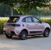 China Dealer Wanted Small Car 's Low Speed Cars are the Perfect Solution for Your Customers for sale