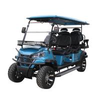 China Electric Golf Buggy Cart with Legal Lithium Battery 48V 6 Seater 4*4 2 End Customized for sale