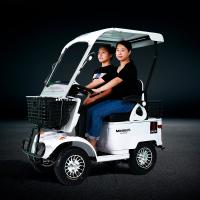 China Power Range Lithium Battery Golf Carts Front Disc Rear Disc Brake System for 1-6 Seats for sale