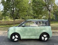 China 205KM/301KM Long Range 2024 Changan Lumin EV Pure Mini Hatchback with 1980mm Wheelbase for sale