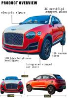 China Adult 72V 5000W 4 Wheels Disk Brake Mini Car EV Vehicle Made in with 100AH Battery for sale
