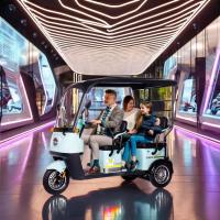 China Passenger Home Leisure Patrolled Luxury Adult Tricycle with and Multi-Purpose Design for sale