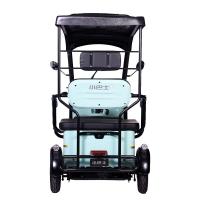 China Passenger Home Leisure Patrolled Luxury Adult Tricycle with and Multi-Purpose Design for sale