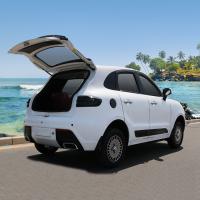 China Acid Pickling Phosphating Craftsmanship 5000w 60/72v Energy Vehicle for 5 People for sale