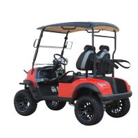 China HM Customized 2 Seater Golf Cart 800kg Max Load Capacity and 48V/60V/72V Battery Voltage for sale