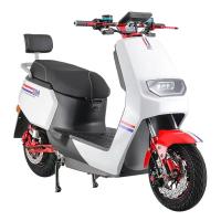 China Transform Your Streetbike into a Powerful 3000w Electric Motorcycle with 48v Kit for sale