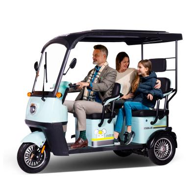 China 650W Motor Adult Tricycle for Leisure Activities and Scenic Trips at Affordable for sale