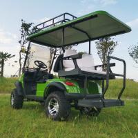 China Electric Mini Golf Car with Minimum Grand Clearance of 150-200mm by HM Manufacturing for sale