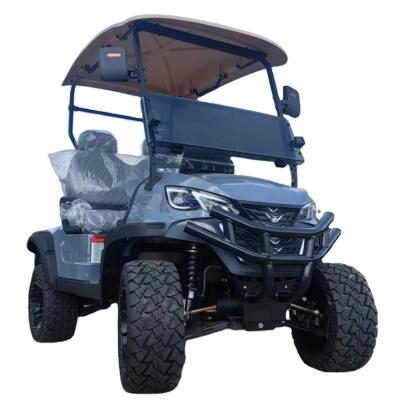 China 800kg Max Load Capacity 2 Seater Chinese Electric Car with Intelligent Onboard Charger for sale
