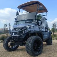 China 800kg Max Load Capacity 2 Seater Chinese Electric Car with Intelligent Onboard Charger for sale