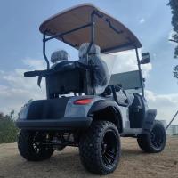 China 800kg Max Load Capacity 2 Seater Chinese Electric Car with Intelligent Onboard Charger for sale