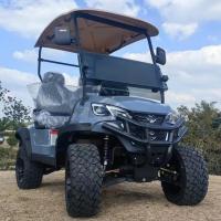 China 800kg Max Load Capacity 2 Seater Chinese Electric Car with Intelligent Onboard Charger for sale
