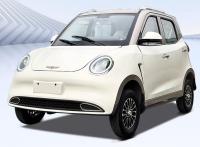 China Low Speed Energy Vehicle for Adult Left Steering 150KM Working Range CE ISO CCC Certified for sale