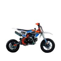 China 110cc Kids Racing Pit Dirt Bike with 4 Stroke Engine Manual Clutch Kick Start Steel Body for sale