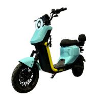 China Sportbikes Electric Moped 1200W Off-Road Motorcycle with Pedal and 3.00-10 Tire Size for sale