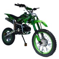 China 150cc 4 Stroke Adults Pro Pit Bike with Displacement 100-200CC OEM/ODM Welcome for sale
