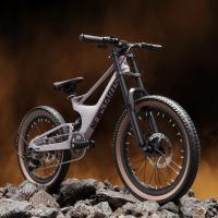 China 2024 Soft-Tail MTB Racing Bike with Aluminum Fork and Disc Brake System for Children for sale