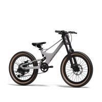 China 2024 Soft-Tail MTB Racing Bike with Aluminum Fork and Disc Brake System for Children for sale