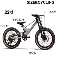 China 2024 Soft-Tail MTB Racing Bike with Aluminum Fork and Disc Brake System for Children for sale