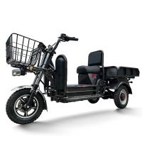 China 8-10h Tire Size Electric Bike for Adults Lithium Lead Acid Battery 100-120KM Battery Range for sale