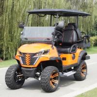 China Customizable 2 2 Seats Higher Comfort Hunting Electric Car for Max.Travelling Range 70km for sale