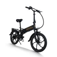 China 60V12tubes Controller Two Wheel Mini Bikes Electric Bicycle Made In for Two People for sale