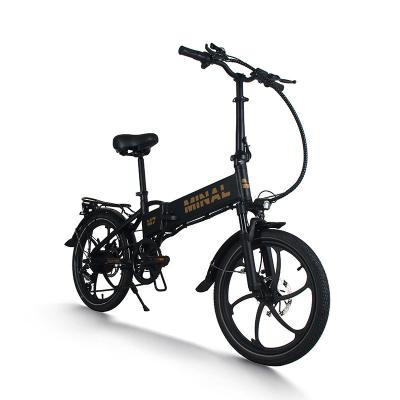 China 60V12tubes Controller Two Wheel Mini Bikes Electric Bicycle Made In for Two People for sale