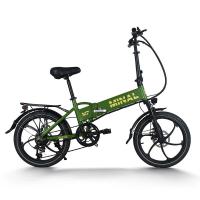 China 60V12tubes Controller Two Wheel Mini Bikes Electric Bicycle Made In for Two People for sale