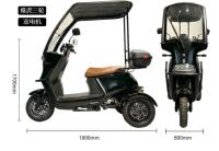 China Free Shipping Electric Motorcycle Adult Three Wheel Tricycle LEO 60V Maximum Speed 45KM/H for sale