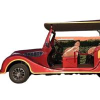 China Experience the Best of Both Worlds with the Rushed GCC 4x4 Vintage Electric Golf Cart for sale