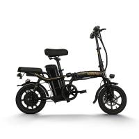 China 60V12tubes Controller Electric City Bike 48v Electric Motor Bicicleta Electrica Ebike for sale