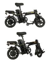 China 60V12tubes Controller Electric City Bike 48v Electric Motor Bicicleta Electrica Ebike for sale