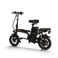 China 60V12tubes Controller Electric City Bike 48v Electric Motor Bicicleta Electrica Ebike for sale