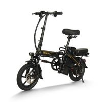 China Design Rear Carrier Electric City Bike with 48v Battery and 2.75-14 Tubeless Tire for sale